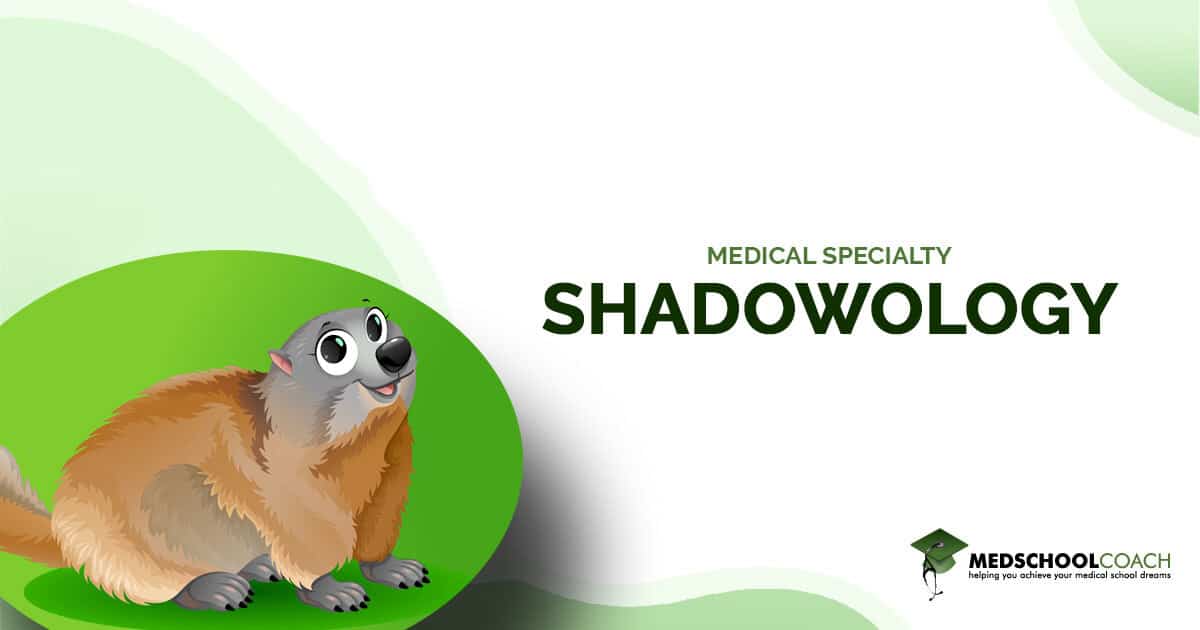 Shadowology with Dr. Punxsutawney Phil - Virtual Pre-Med Education by ...